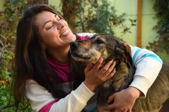 Ilustre Municipalidad de Maipú.